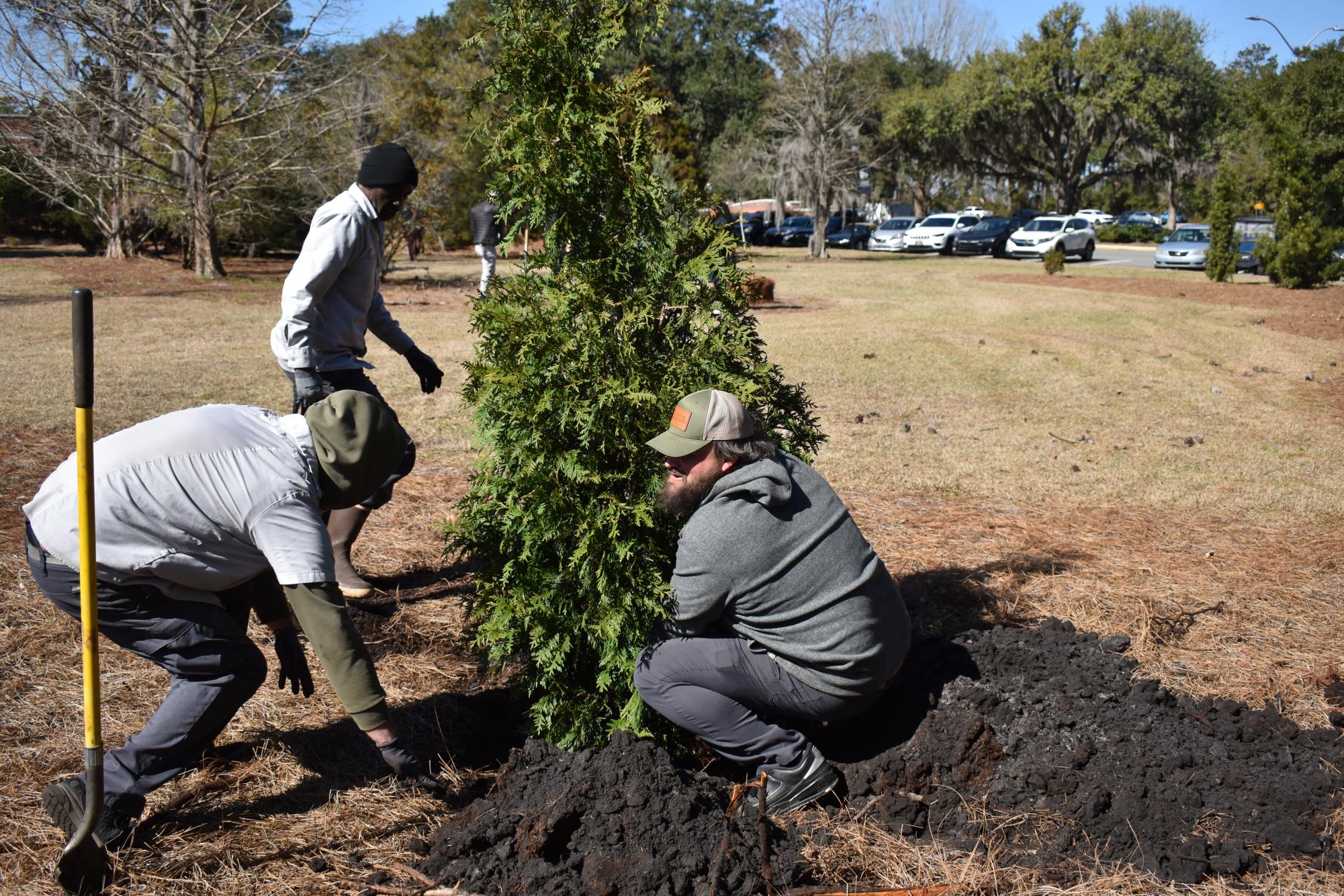 Georgia Arbor Day 2026: Tree-Planting Photogallery - The George-Anne ...